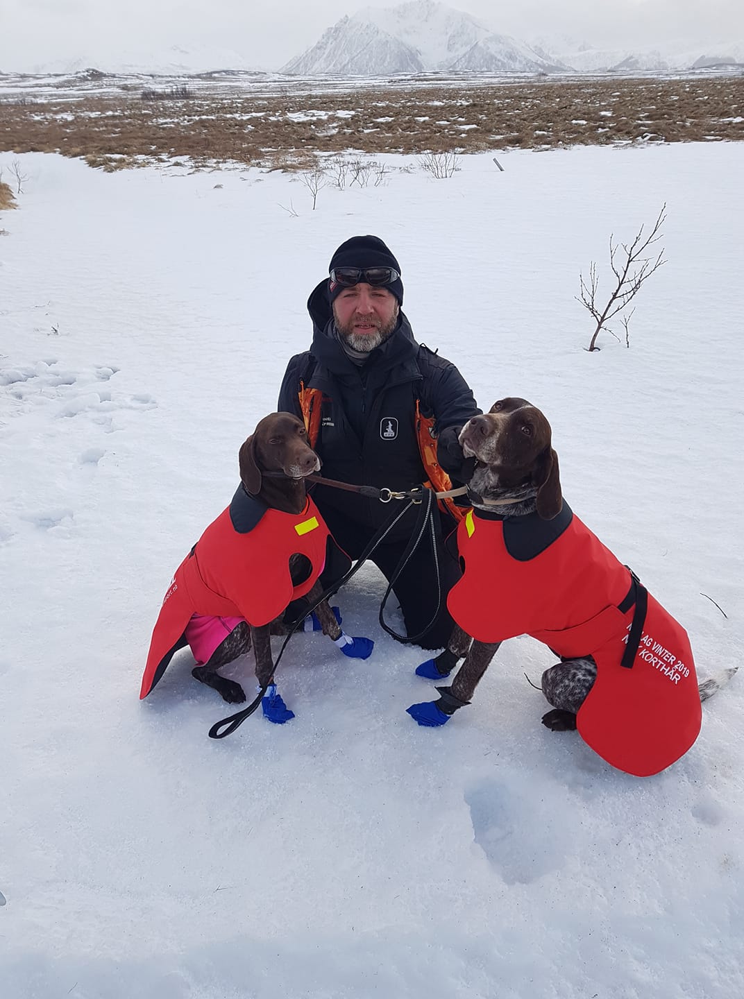 NM vinter: 1.VK til SV Ben | Norsk Vorstehhund klubb