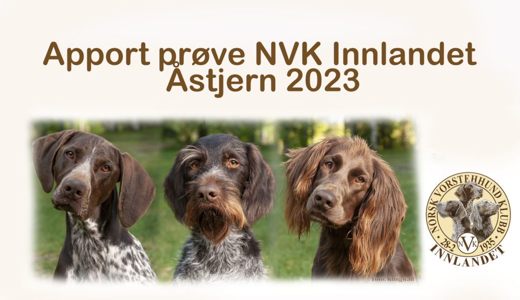 NVK Innlandet arrangerer apportprøve i pinsen | Norsk Vorstehhund klubb