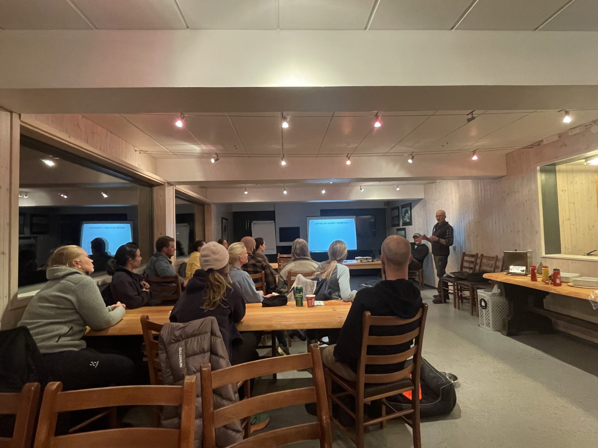 «Ung med Vorsteh» sin høyfjellssamling på Vierli | Norsk Vorstehhund klubb