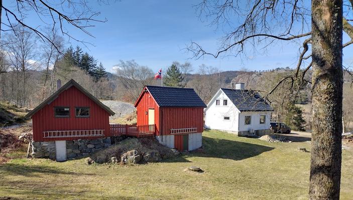 Apportprøven på Horve 2024 | Norsk Vorstehhund klubb